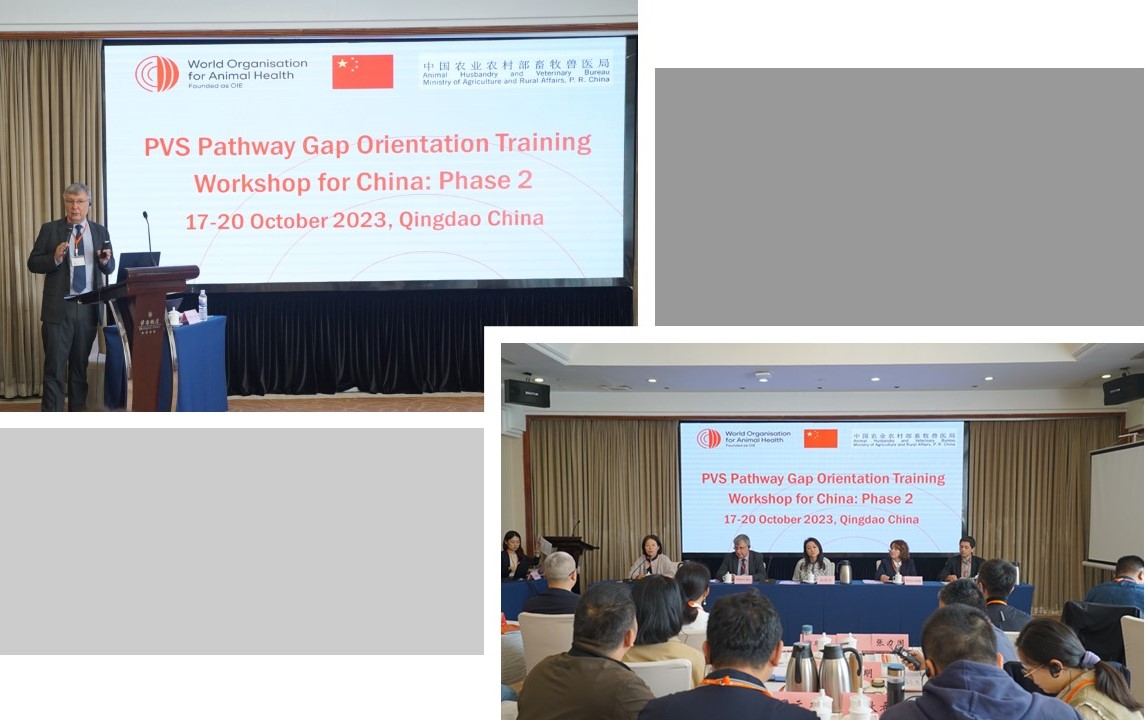 PVS Gap Analysis Orientation Training Workshop in China | Phylum